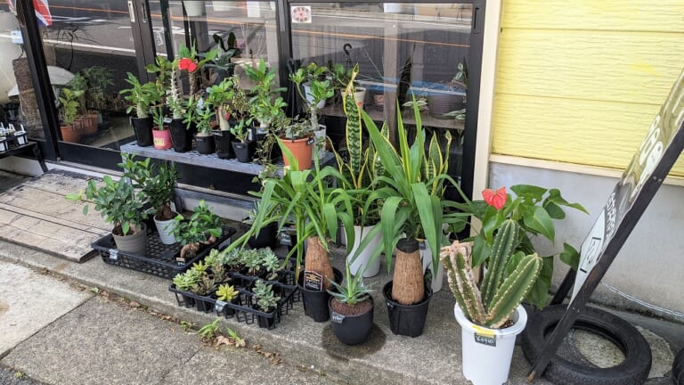 北松戸の靴修理「SHOE REPAIR FACTORY BLENHEIM」 - 松戸に住もう！